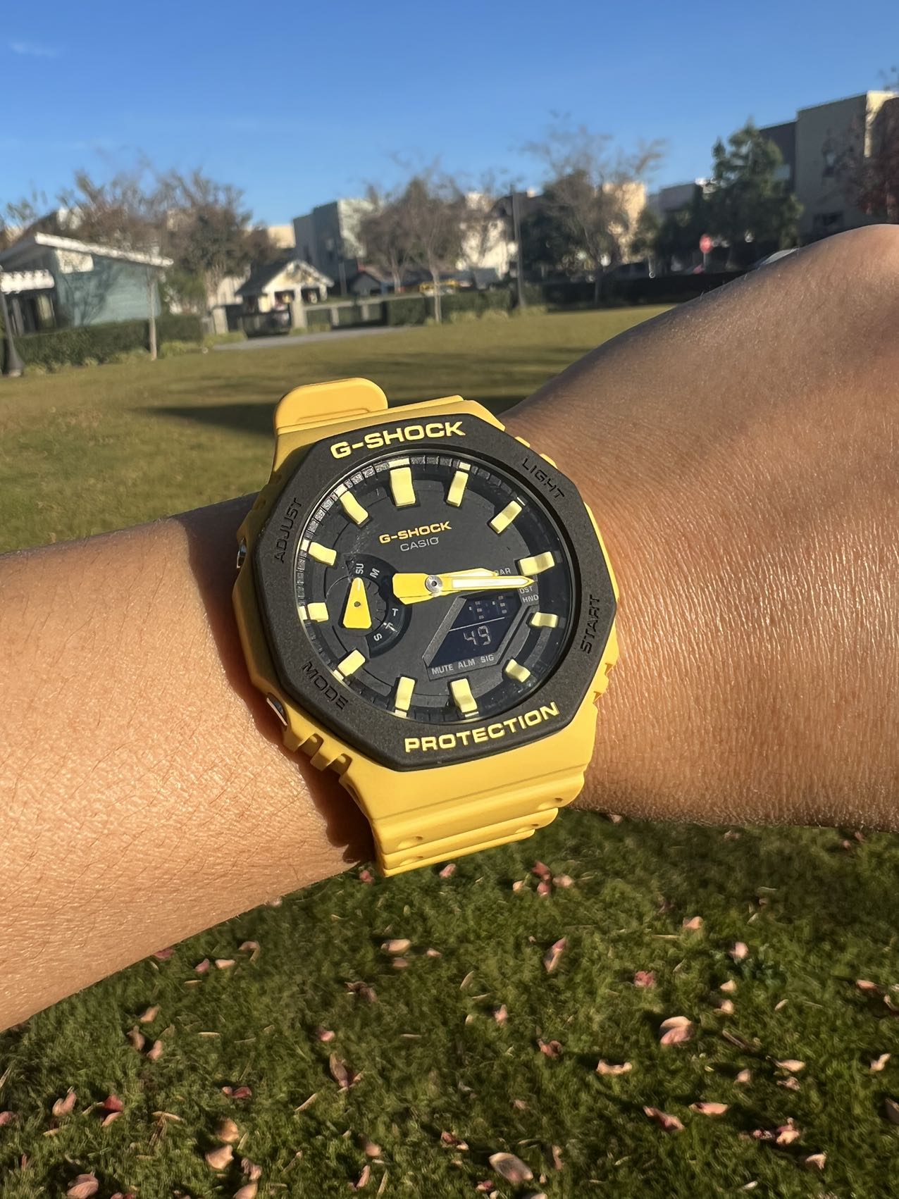 Yellow Casioak Watch is Coming – Honcos Straps